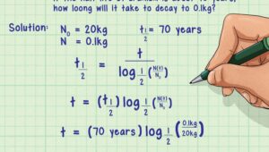 Carbon Dating Equation Calculator 2021 | PrestaStyle